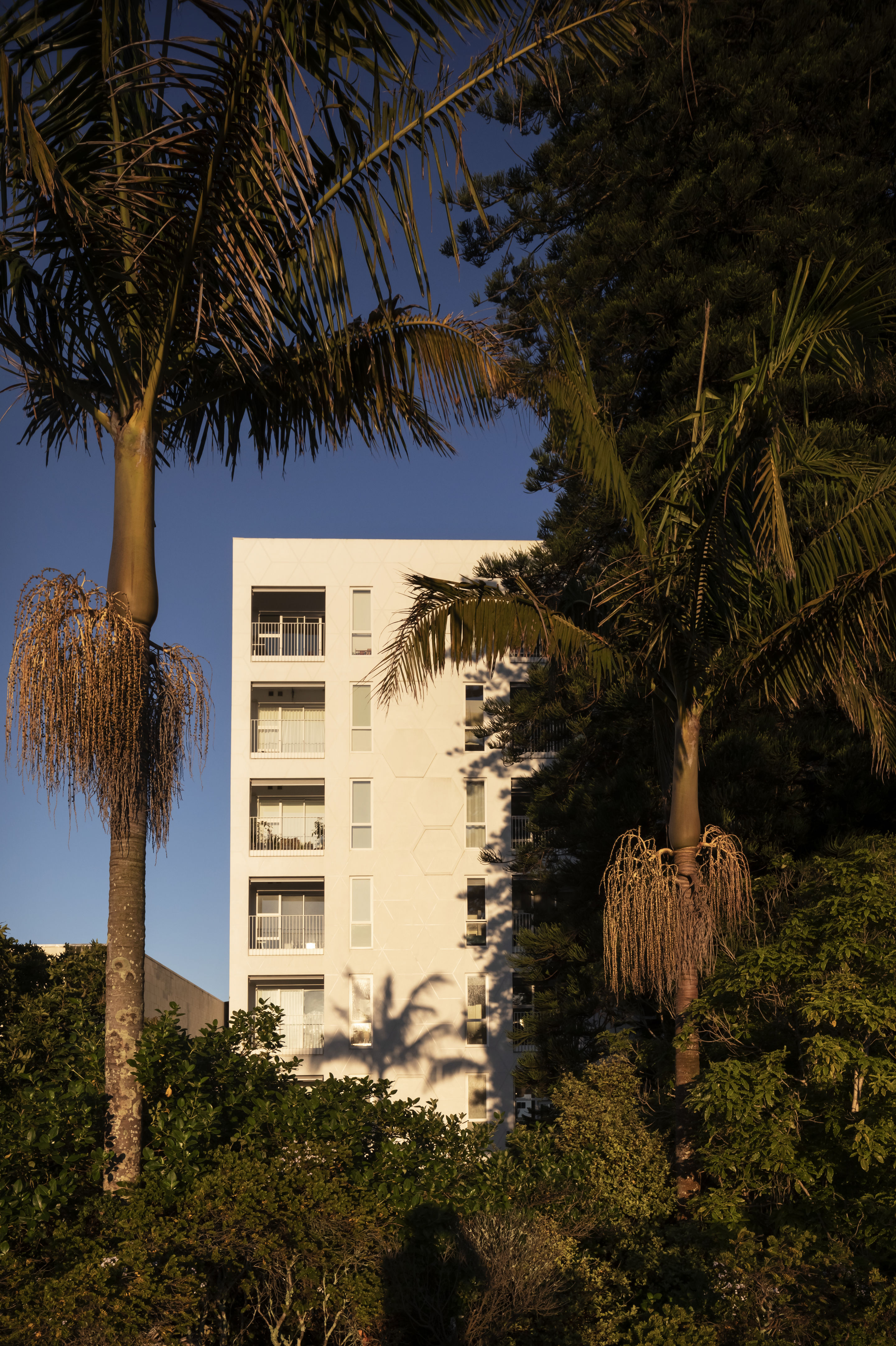 Daisy by Ockham Residential | Completed Projects