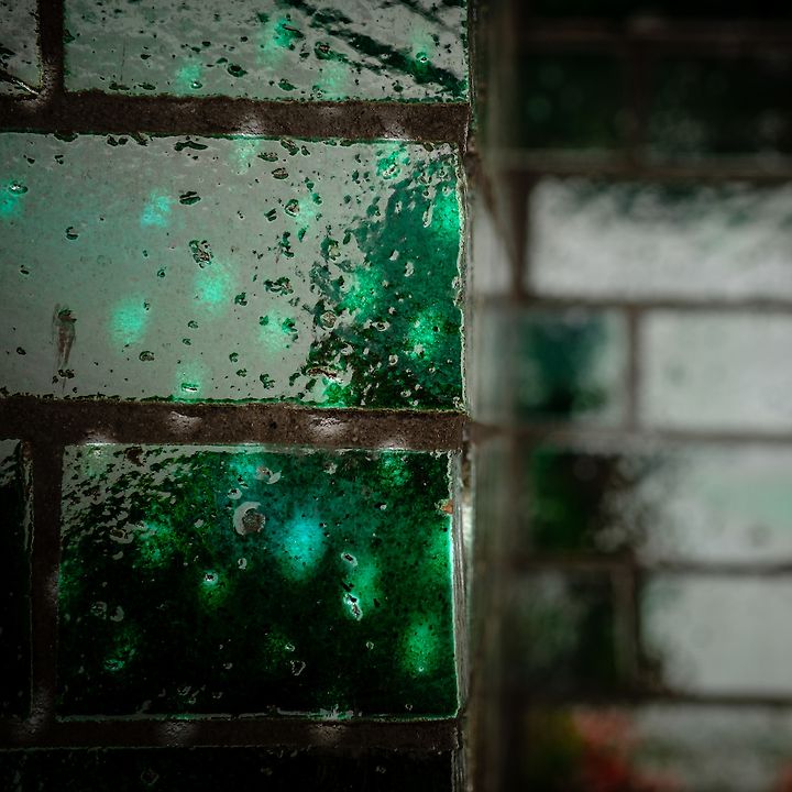 Ockham - The Greenhouse