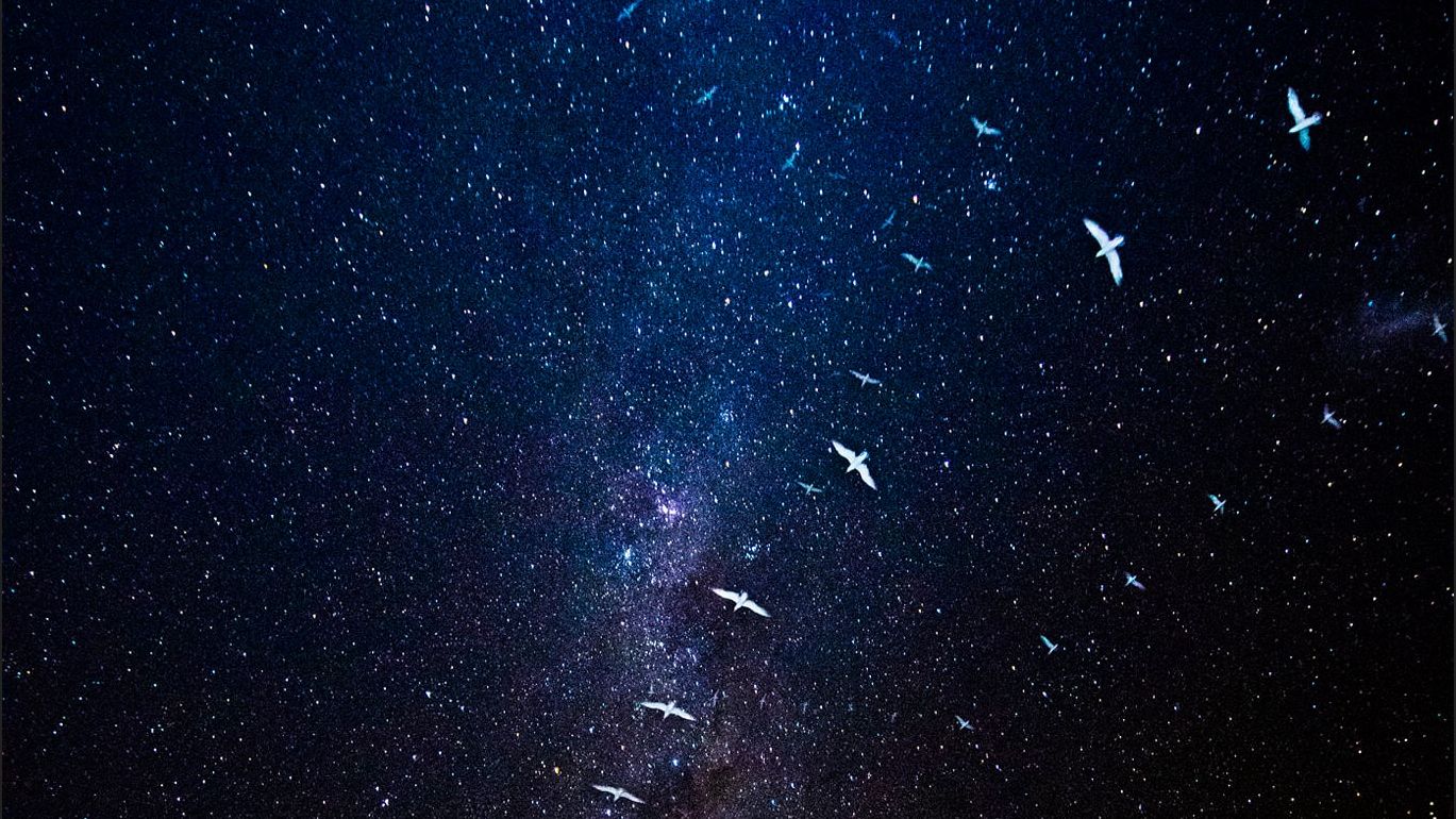 Ockham - Partnerships