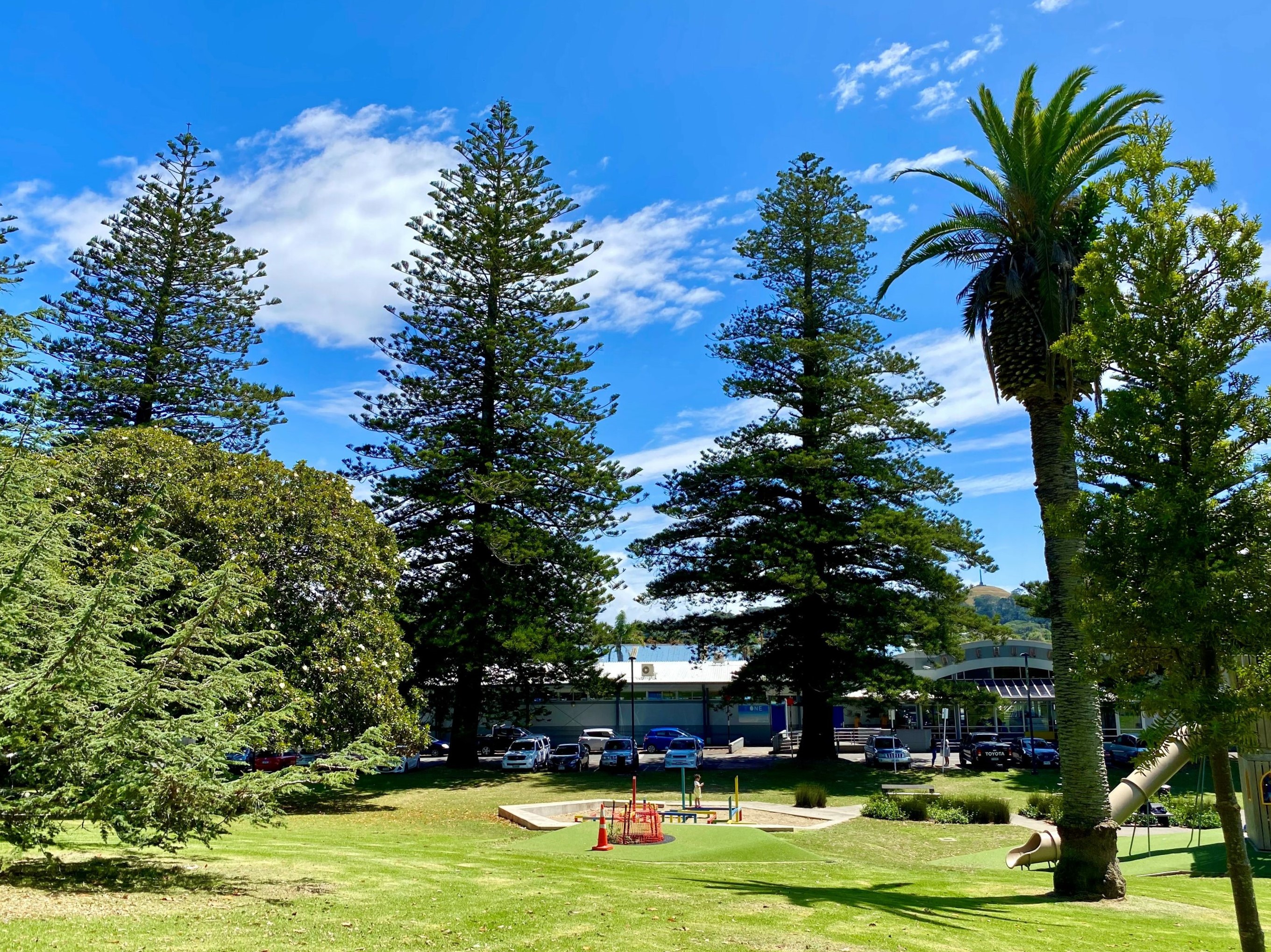 Home Stretch: Seven Wonders of Onehunga