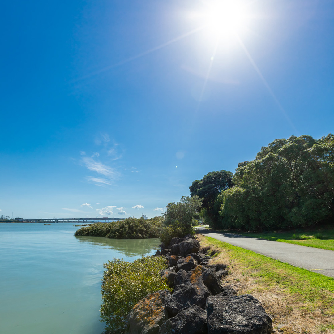 Home Stretch: Seven Wonders of Onehunga
